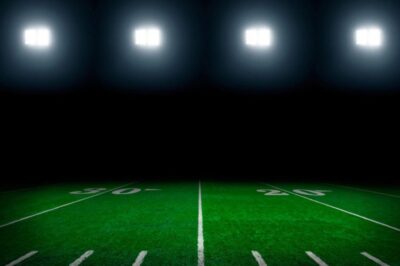 The 2019 LSU Tigers: The Greatest College Football Team of All Time ...